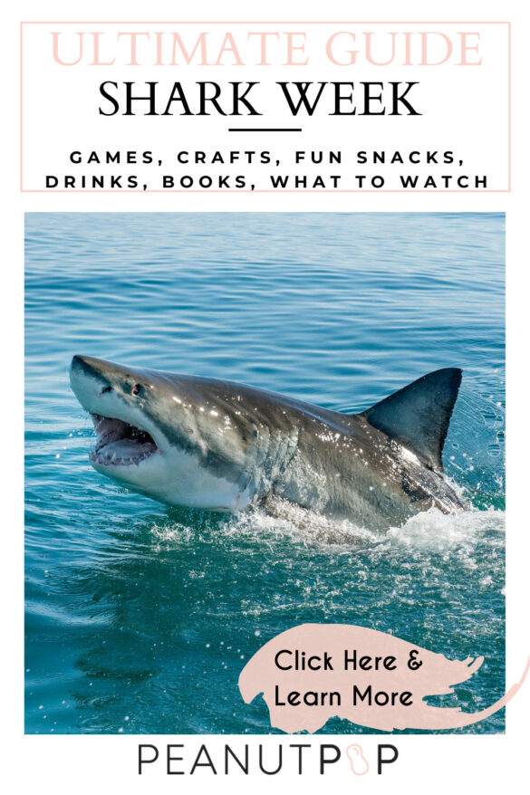 Ultimate Guide to Shark Week Family Fun - PeanutPop