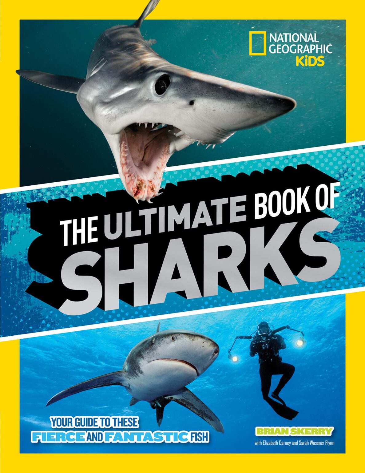 Ultimate Guide to Shark Week Family Fun - PeanutPop